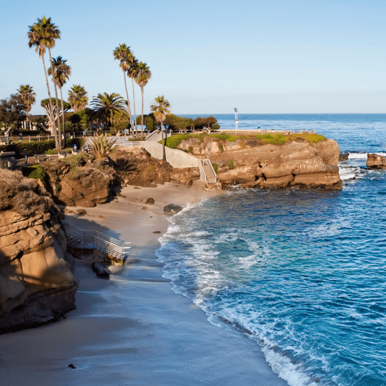 Team Members Archive | Shipware